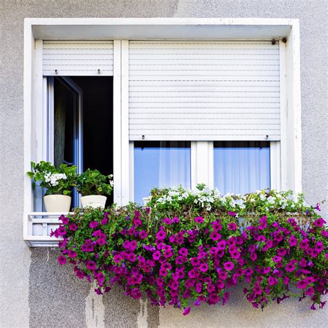 Roller Shutters Melbourne Roller Shutters Berwick Best Roller Shutters