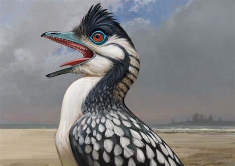 Did Birds Have Teeth