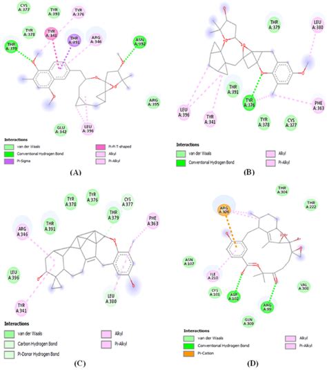 Two Dimensional Molecular Interactions Of A Bc012 B Bc014 C Download Scientific Diagram