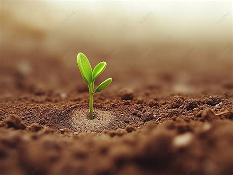 Increase Php Script Execution Time With Nginx