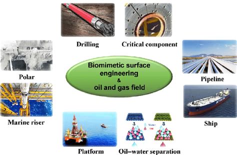 Applications Of Biomimetic Surface Engineering In Oil And Gas Industry Download Scientific