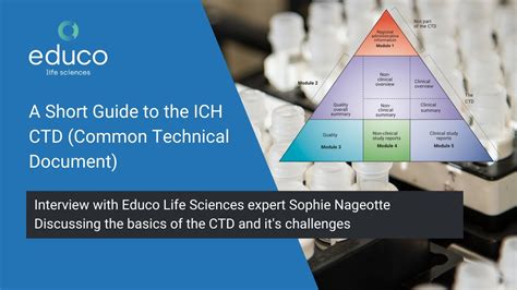 A Short Guide To The Ich Ctd Common Technical Document Youtube