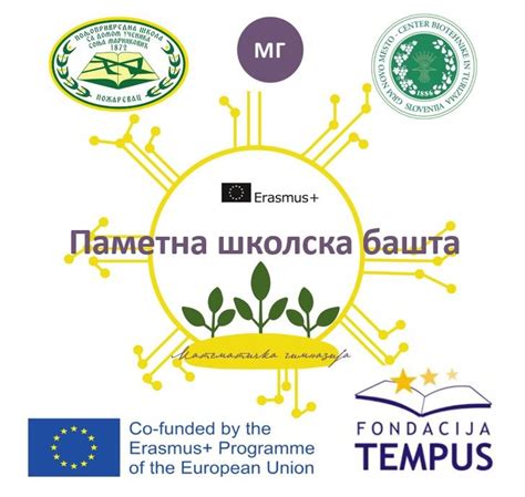 АЛМАГИ Алумни Математичке гимназије On Linkedin мг математичкагимназија