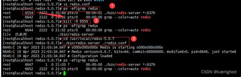 基础篇：linux安装redis教程 详细 linux 安装redis csdn博客
