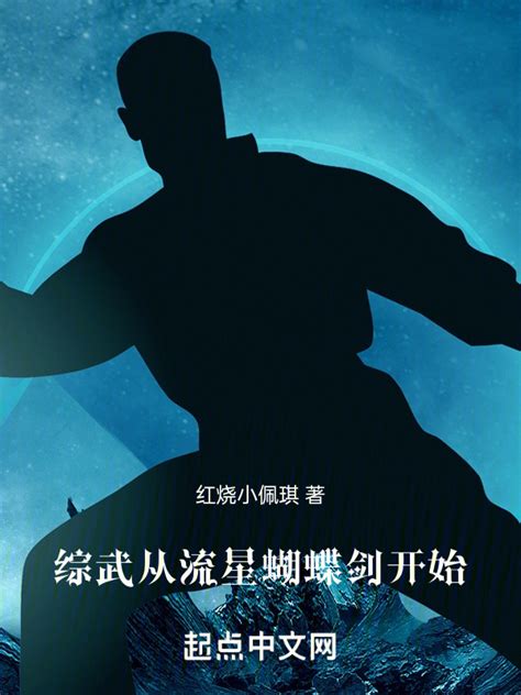《综武从流星蝴蝶剑开始》小说在线阅读 首发起点中文网