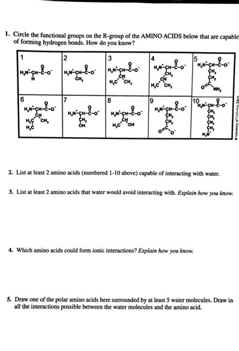 Solved Circle The Functional Groups On The R Group Of The Chegg Com