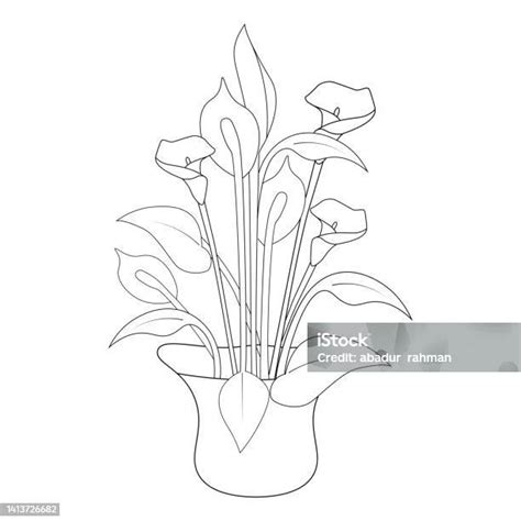 색칠 공부 책 페이지 일러스트레이션의 꽃 냄비 라인 아트 디자인 검은색에 대한 스톡 벡터 아트 및 기타 이미지 검은색 꽃 나무 꽃 식물 Istock