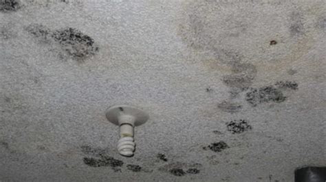 How To Remove Mould From A Bathroom Ceiling Artcomcrea