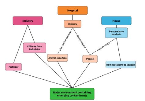 Source And Pathway Of ECs Download Scientific Diagram