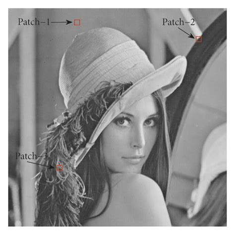 Illustrative Plots Of Directional Local Variance Metric A Lena B