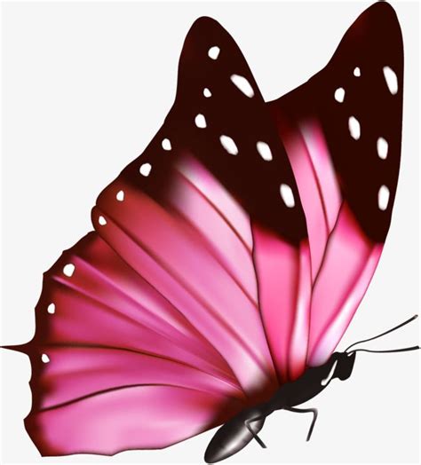 핑크 청신하다 나비 일러스트 Png 핑크 청신하다 나비 이미지 벡터 Psd 파일 Pngtree Butterfly Art Drawing Butterfly