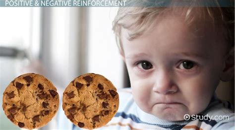 Reinforcement In Psychology Definition Types And Examples Lesson