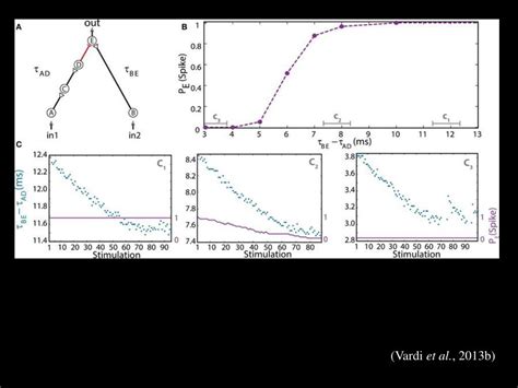 Ppt A Computational Paradigm For Dynamic Logic Gates In Neuronal Activity Powerpoint