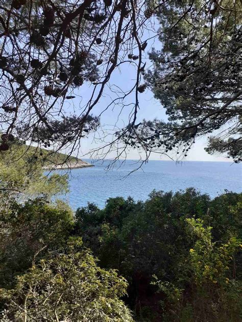 Природа животиње 에 있는 Татјана 🇷🇸님의 핀