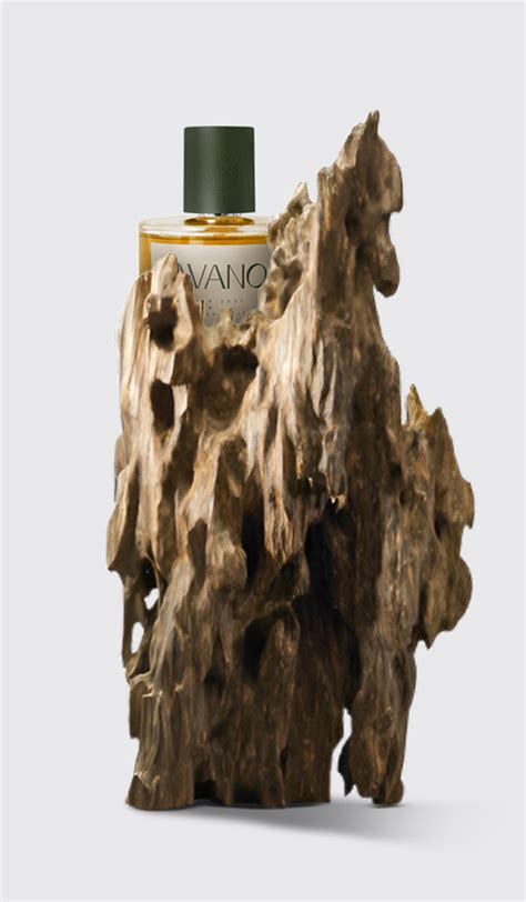 Javanol Brand Identity And Packaging On Behance