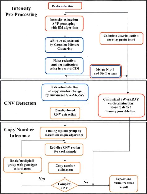 Genome Wide Detection Of Human Copy Number Variations Using High Density Dna Oligonucleotide Arrays