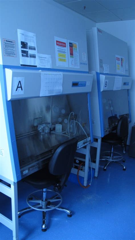 Lab Cell Culture Facilities Id 27 School Of Pharmacy Cuhk Lab Cell Culture Facilities Id 27 School Of Pharmacy Cuhk
