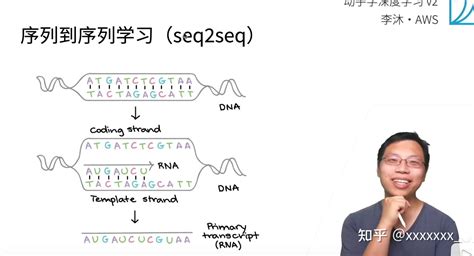 NLP的黑箱解密探索自然语言处理的核心算法 知乎
