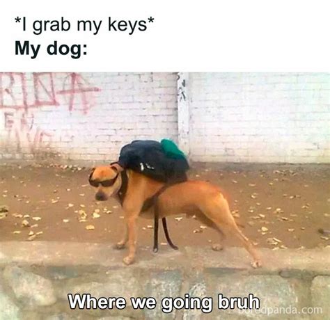 50 Absolutely Spot On Introvert Memes To Make You Snicker Bored Panda