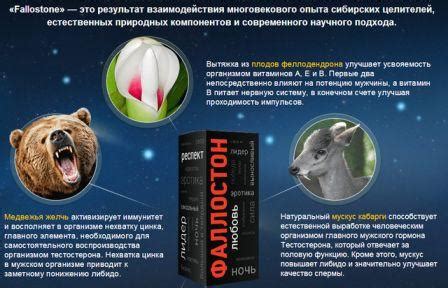 Фаллостон: крем для увеличения полового члена (пенбилдинга): отзывы и ...