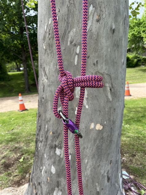 Doubled Alpine As A Midline Canopy Anchor R Treeclimbing