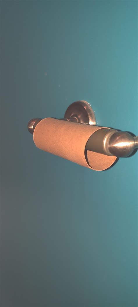 I Dont Remember Basic Math But I Remember Algebra Geometry And Statistics R Fml