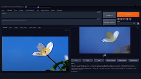 Codef Review Video Processing Innovation