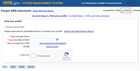 HHS AMS How To Enable Or Disable Accessibility Mode In AMS