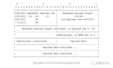 使用Go语言创建WebSocket服务 腾讯云开发者社区 腾讯云