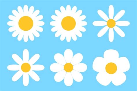 Набор ромашек на синем фоне Бесплатный вектор