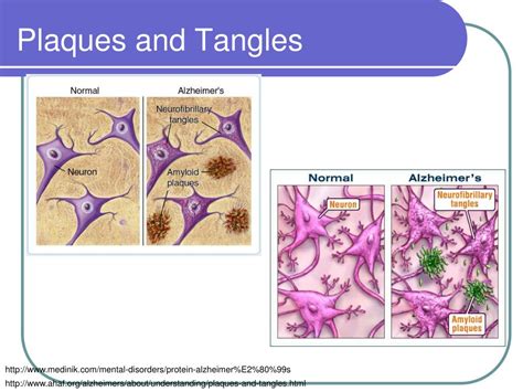 Ppt Learning And Memory Powerpoint Presentation Free Download Id3694838