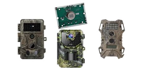 Trail Camera Pir Motion Sensors Everything You Need To Know