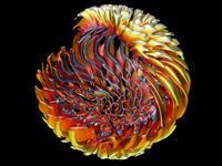 Biofeedback Visualization Ideas Visualisation Electronics Projects Arduino