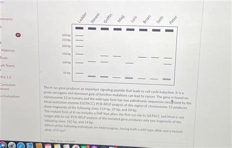Solved The K Ras Gene Produces An Important Signaling