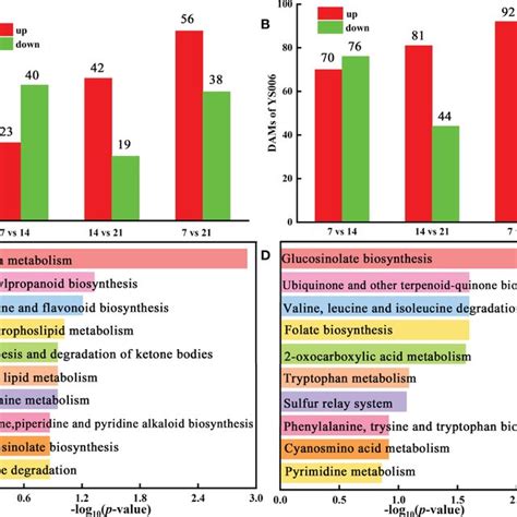 Joint Analysis Of Atac Seq And Rna Seq A The Circus Map Of Atac Seq Download Scientific