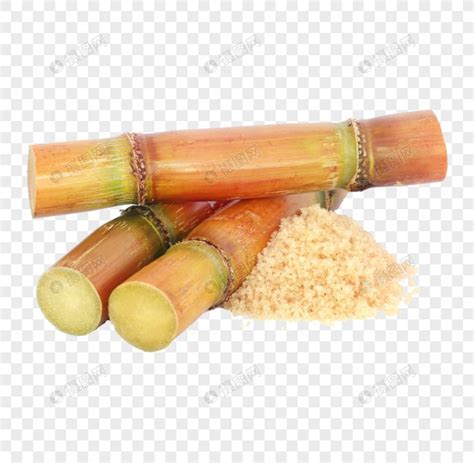 사탕수수 설탕 설탕 컵 디자인 창조적인