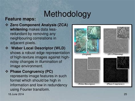 Msc Thesis Sparse Coral Classification Using Deep Convolutional Neu
