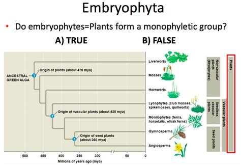 Solved Embryophyta Do Embryophytes Plants Form A