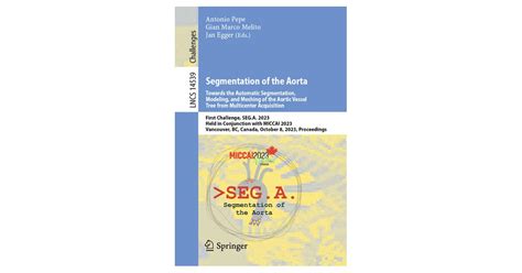 Pepe Melito Segmentation Of The Aorta Towards The Automatic