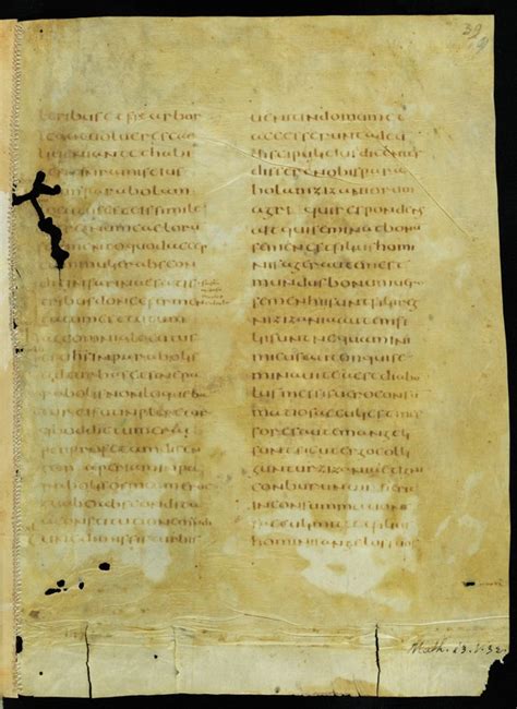 Jeromes Latin Vulgate Insight Of The King
