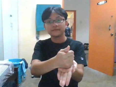 Aslcustom Object Detection Model By Fypii