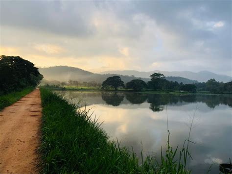 Saradha Dhananjaya On Linkedin Dairyfarming