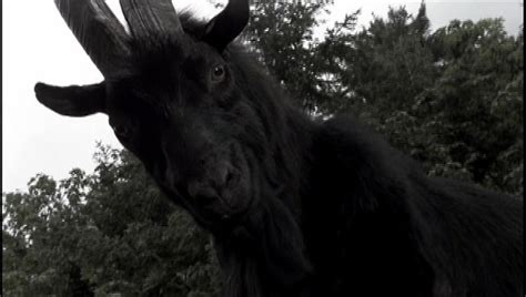 Infini Tropolis Review Marker