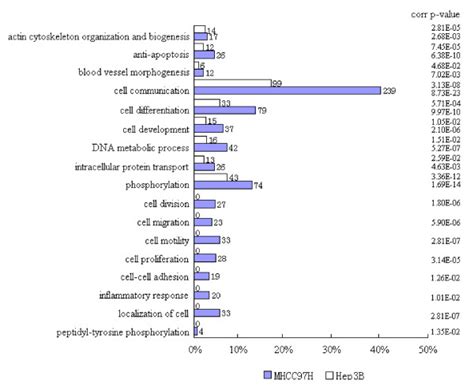 Histogram Of Functional Cluster Analysis Based On Biological Process