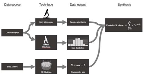1 Conceptual Flow Chart Of The Data Sources Analysis Techniques Data Download Scientific