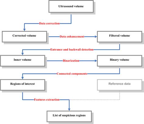 Flow Chart Showing The Different Stages Of The Segmentation Procedure Download Scientific