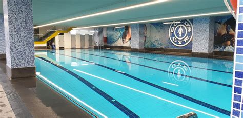 Going For Gold In Jordan Ej Bowman