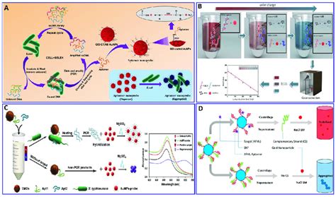 A Schematic Illustration Of The Colorimetric Aptamer Sensor For E Download Scientific