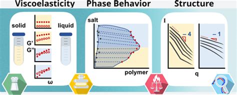 Solid To Liquid Phase Transition In Polyelectrolyte Complexes Macromolecules