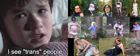 Sex Mimics Are Mimicspart 1 Mimics Models And Magic Words